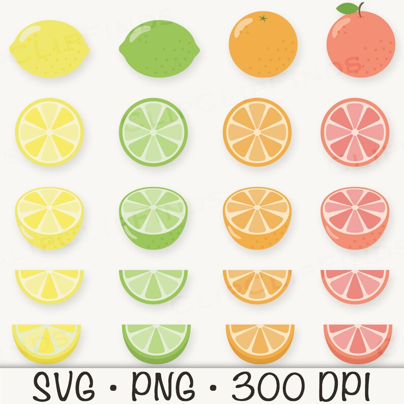Citrus Clipart Bundle Pack, Citrus SVG, Citrus PNG, Orange, Grapefruit ...
