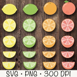 Citrus Clipart Bundle Pack, Citrus SVG, Citrus PNG, Orange, Grapefruit ...