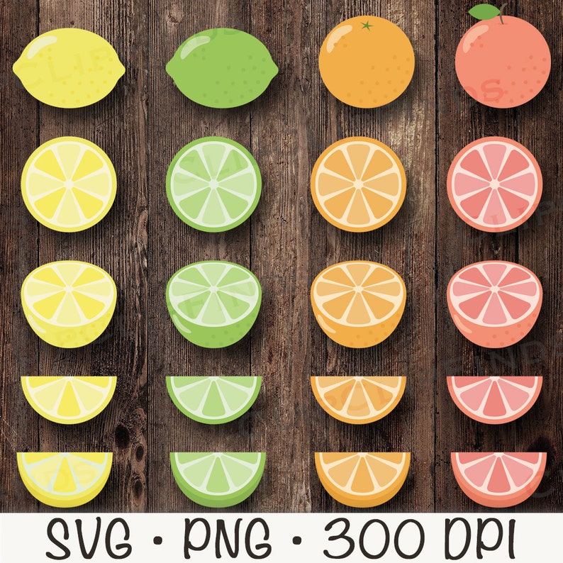 Citrus Clipart Bundle Pack, Citrus SVG, Citrus PNG, Orange, Grapefruit ...