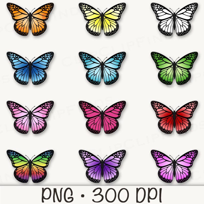 Butterfly Clipart, Butterfly Bundle Pack PNG, Butterfly PNG, Colorful ...