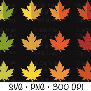 Fall Leaves, Autumn Leaves, Foliage, Thanksgiving, SVG, PNG, Clip Art ...