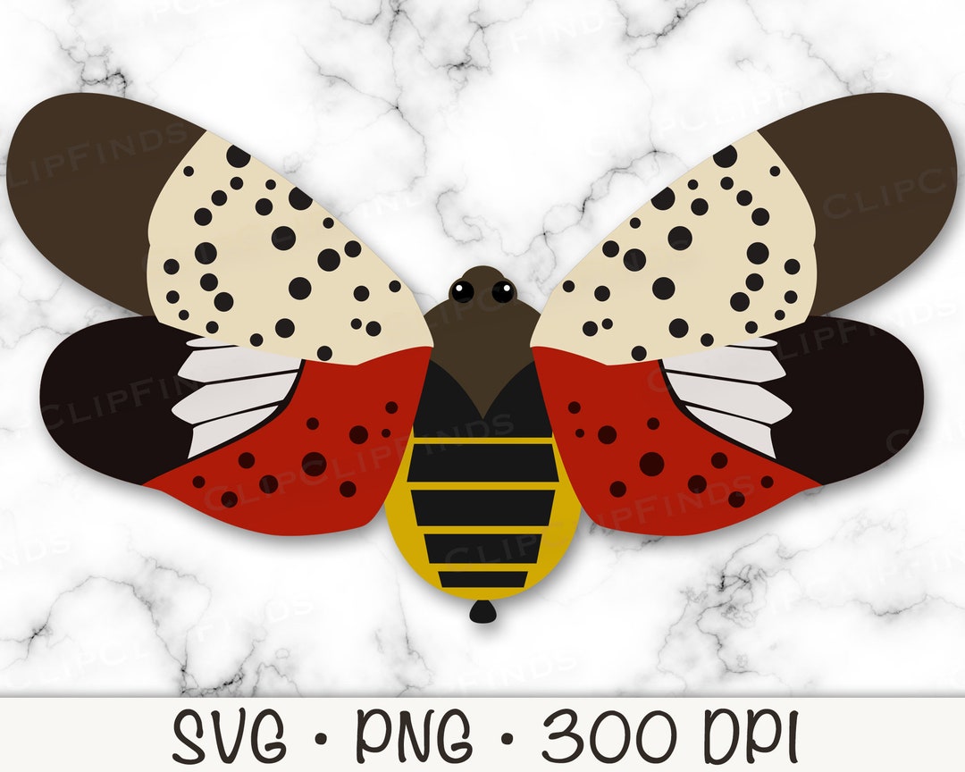 Spotted Lanternfly SVG, Lanterfly PNG, Lanternfly Clip Art, NYC, Cicada ...
