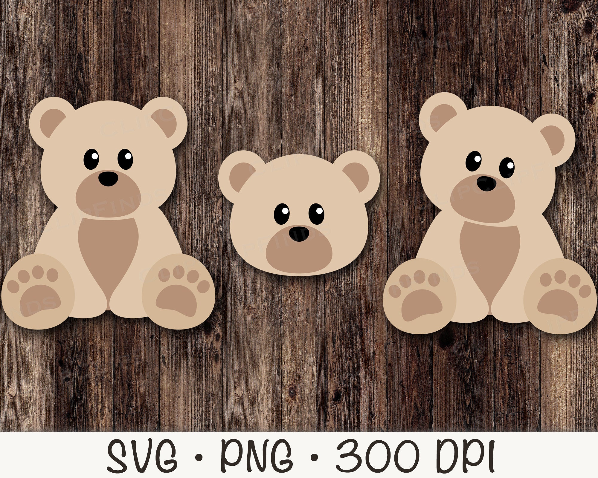 Baby Teddy Bear Vector