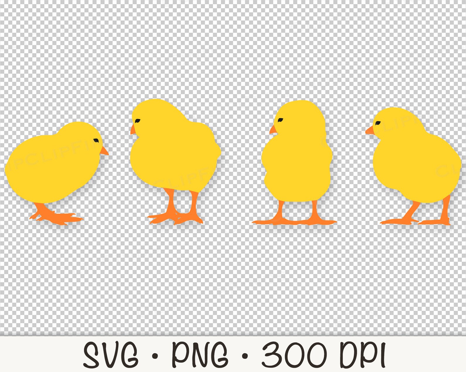 Chicks SVG, Baby Chicken PNG, Baby Chicks Clipart, Instant Digital ...