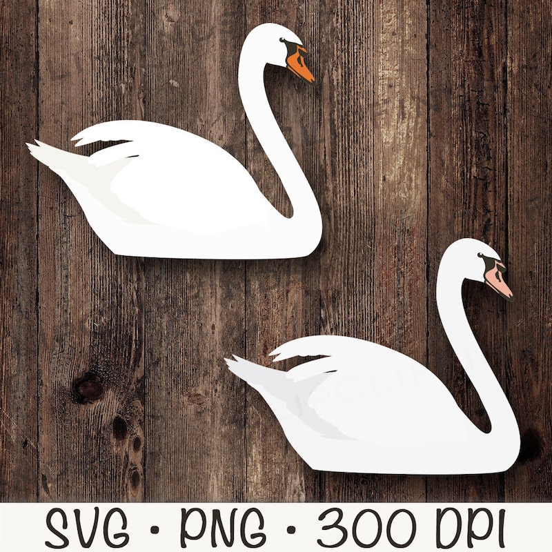 Swan Svg - Etsy