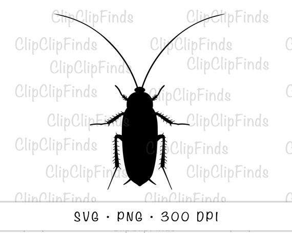 Roach Cockroach Silhouette SVG Vector Cut File and PNG | Etsy