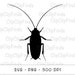 Roach, Cockroach, Silhouette SVG Vector Cut File and PNG Transparent ...