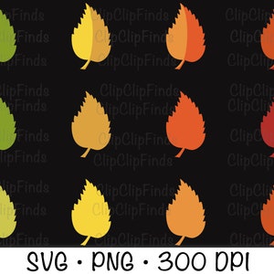 Fall Leaves, Autumn Leaves, Foliage, Thanksgiving, SVG, PNG, Clip Art ...
