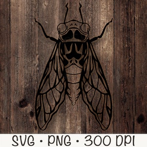 Cicada Outline: Vector SVG, PNG Clip Art (digital Download) - Etsy