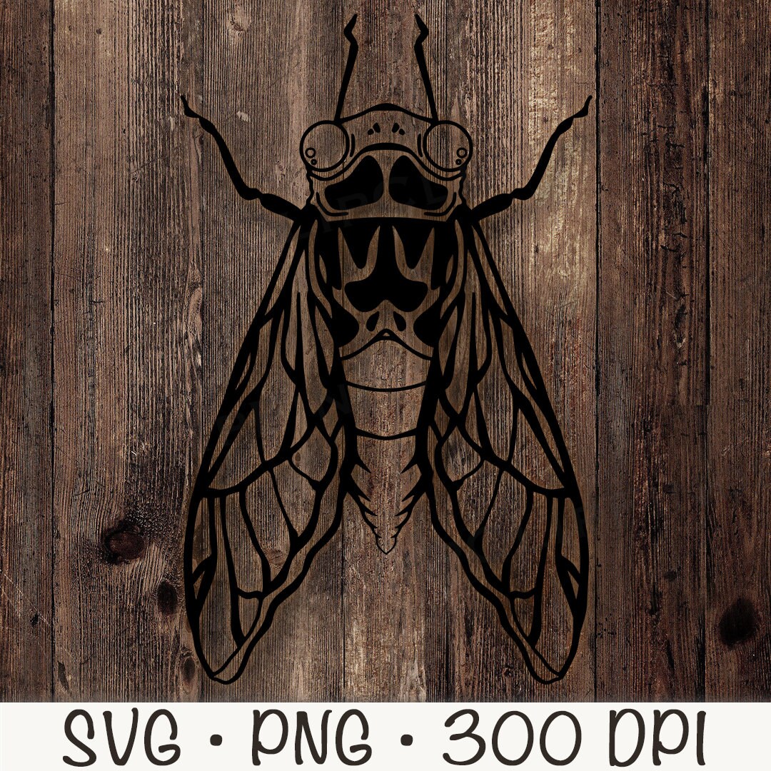 Cicada Outline: Vector SVG, PNG Clip Art (digital Download) - Etsy Canada