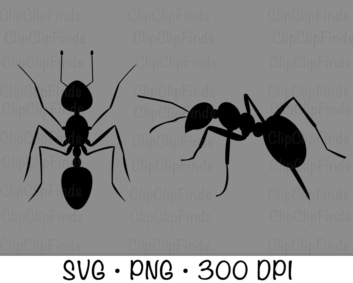 Ant SVG PNG Clipart Instant Digital Download - Etsy
