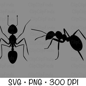Ant, SVG, PNG, Clipart, Instant Digital Download - Etsy