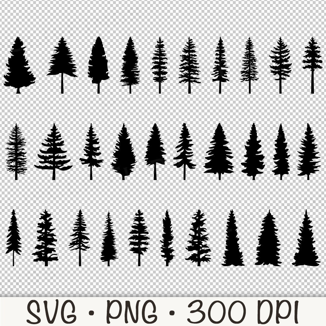 Pine Tree Silhouette SVG Bundle Pack, Evergreen Trees PNG, Instant ...