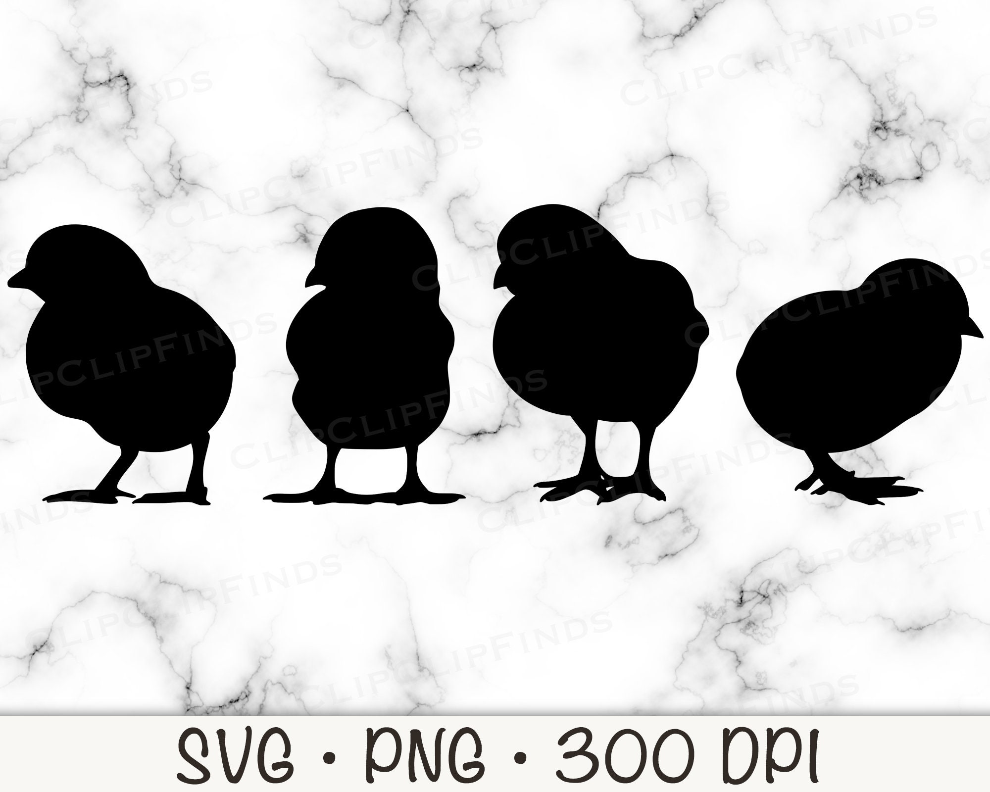 Baby Chick Silhouette SVG Vector Cut File and PNG Transparent - Etsy