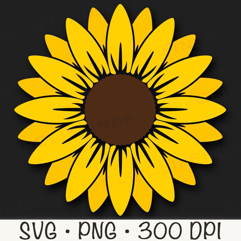 Sunflower SVG, Sunflower PNG, Sunflower Clip Art, Flower SVG, Sunflower ...