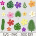Hibiscus Clipart, Hibiscus PNG, Tropical Flowers SVG, Plumeria ...