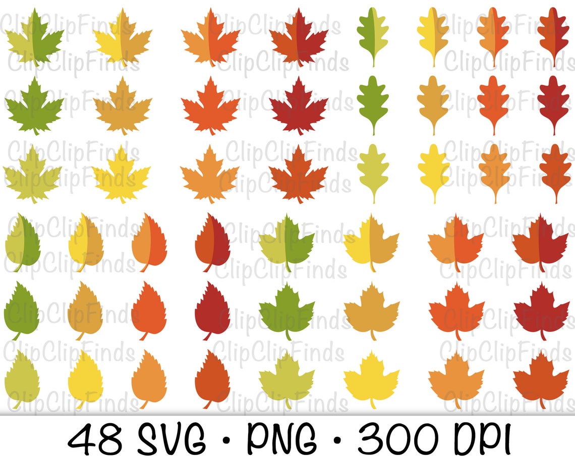 Fall Leaves, Autumn Leaves, Foliage, Thanksgiving, SVG, PNG, Clip Art ...