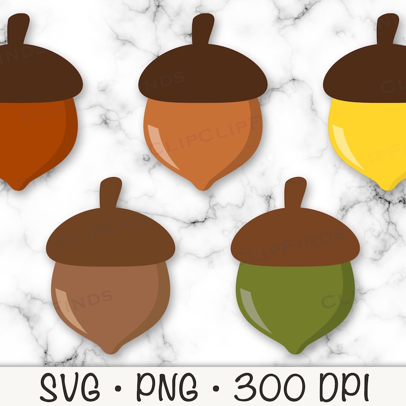 Acorn Clip Art - Etsy