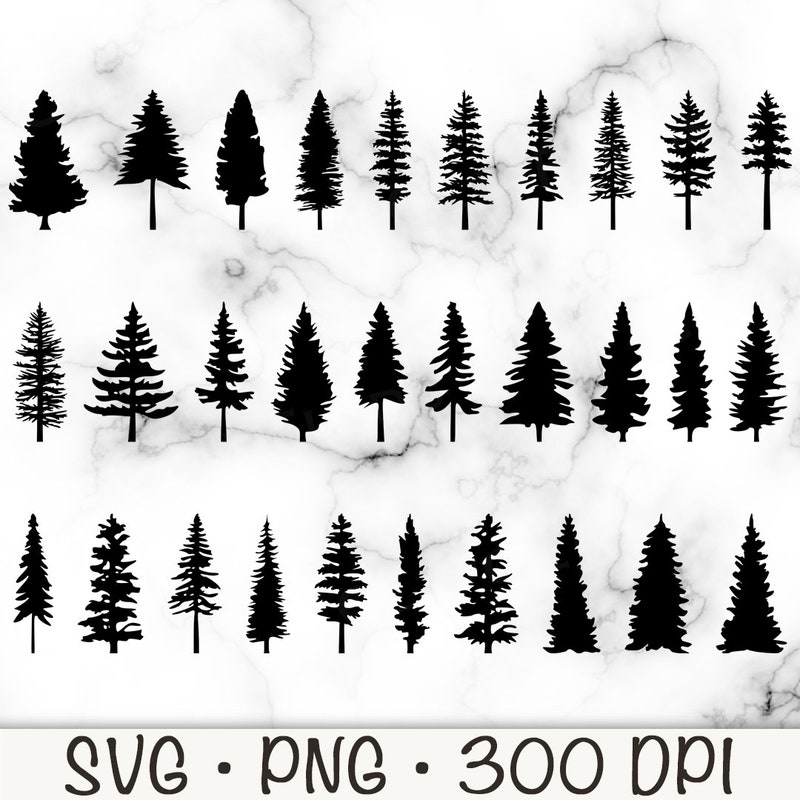 Evergreen Trees Transfers - Etsy