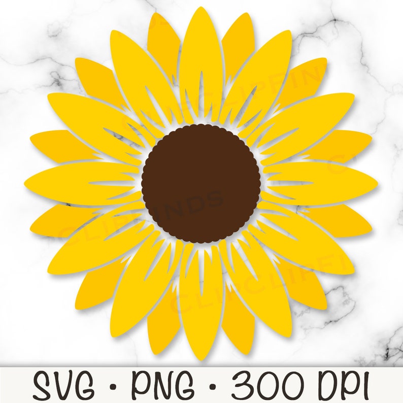Sunflower SVG, Sunflower PNG, Sunflower Clip Art, Flower SVG, Sunflower ...