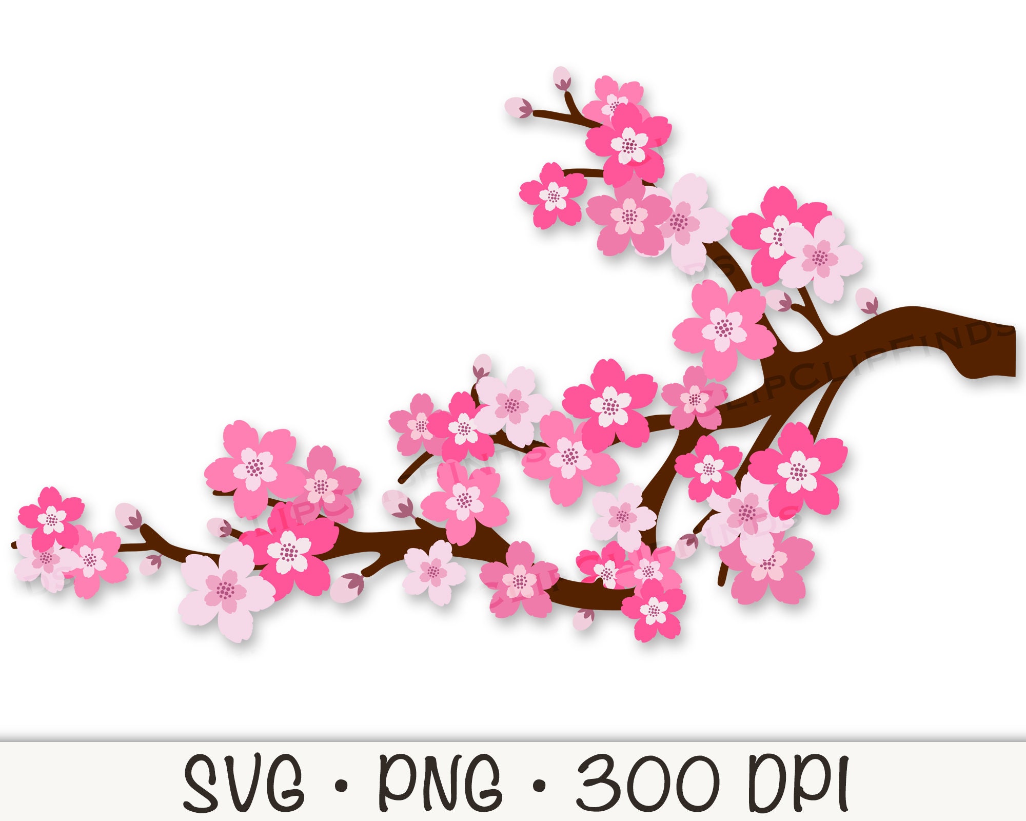 Dibujo De Rama De Arbol De Flor De Cerezo Rama En Flor SVG, Flor De