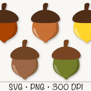 Fall Acorn Clip Art Bundle: Assorted Colors (SVG, PNG, Digital Download ...