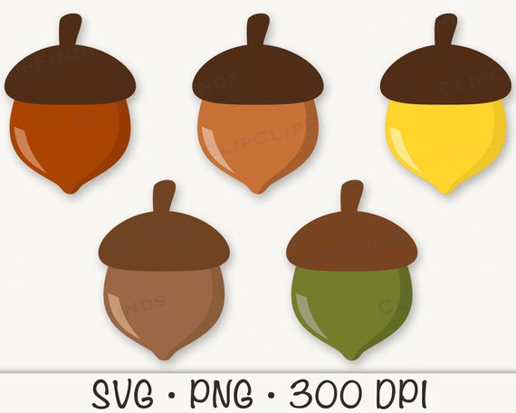 Acorns Clip Art