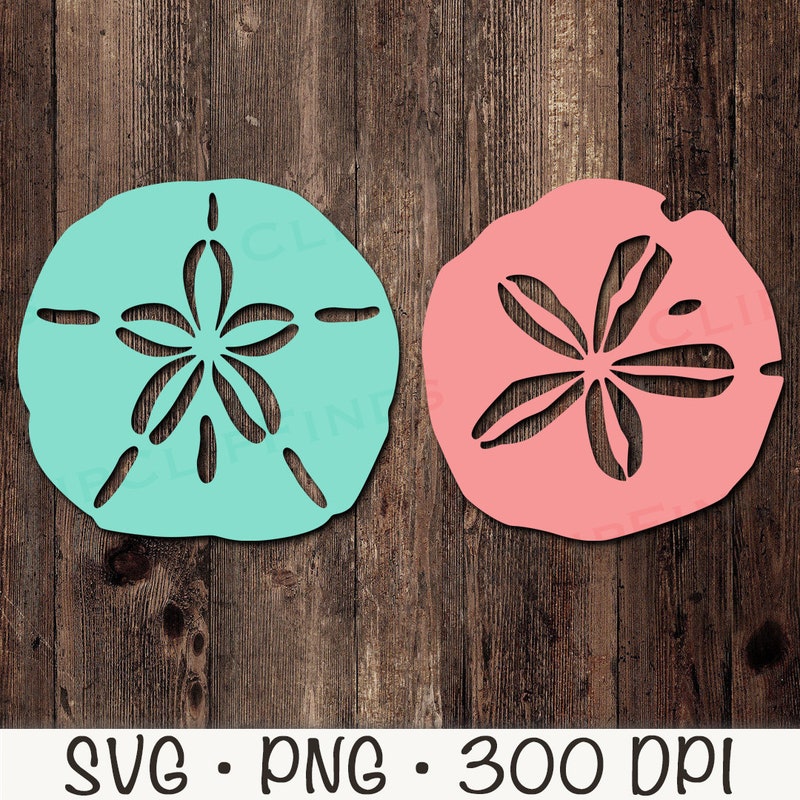 Sand Dollar Clip Art - Etsy