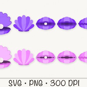 Seashell SVG, Seashell With Pearl, Cute Seashells PNG, Colorful ...