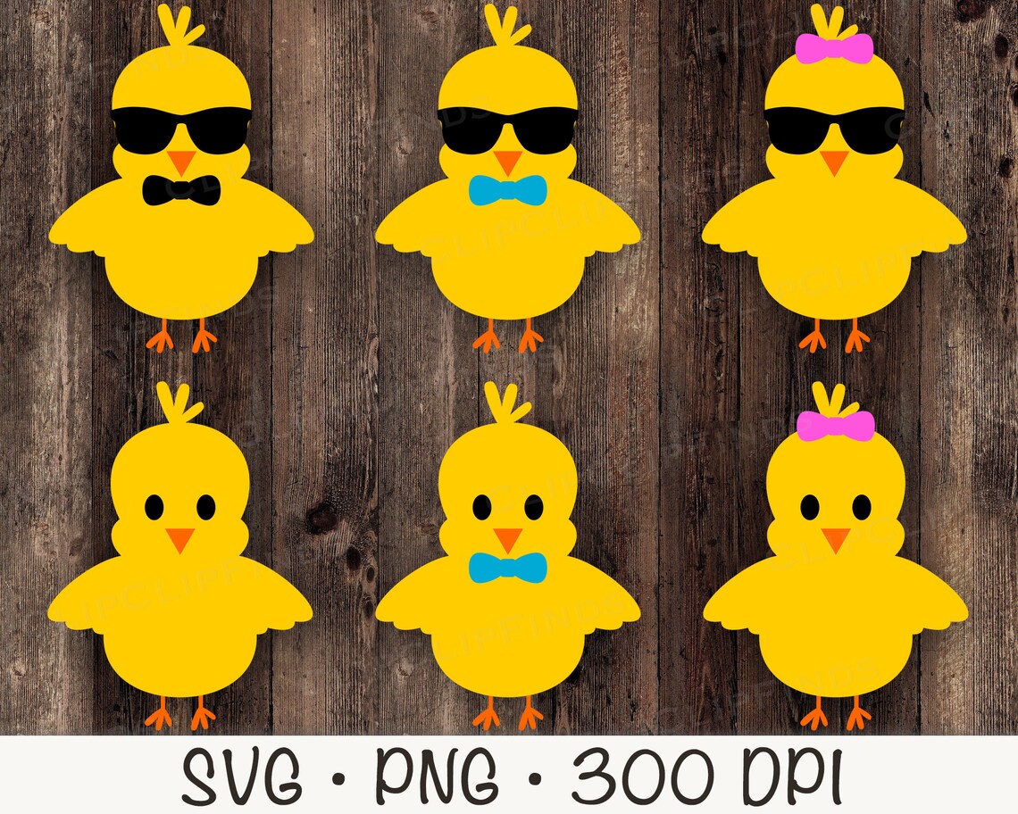 Cool Baby Chicks Chicks With Sunglasses Boy Chick Girl - Etsy