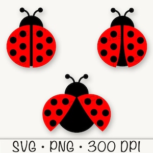 Ladybug SVG, Ladybug PNG, Ladybug Clipart, Digital Download File - Etsy