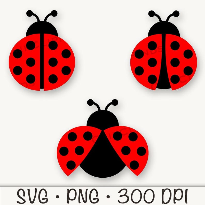 Ladybug SVG, Ladybug PNG, Ladybug Clipart, Digital Download File - Etsy