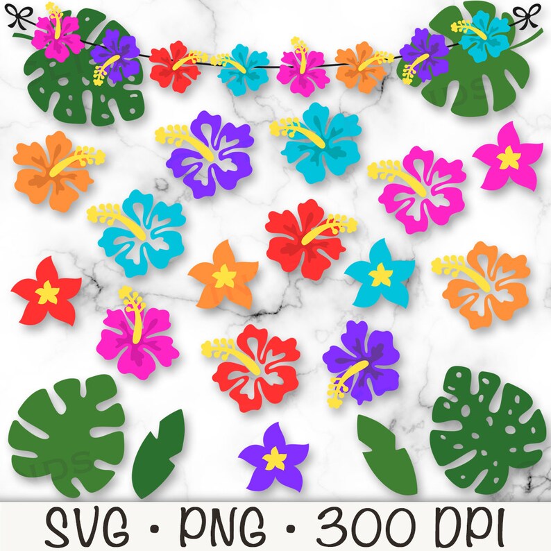 Tropical Flower Clipart: Hibiscus, Plumeria, Monstera Leaf (SVG, PNG ...