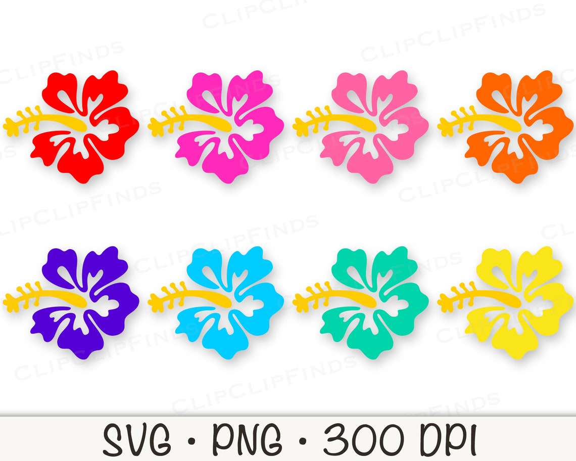 Hibiscus Flower SVG Hibiscus SVG Vector File and PNG - Etsy