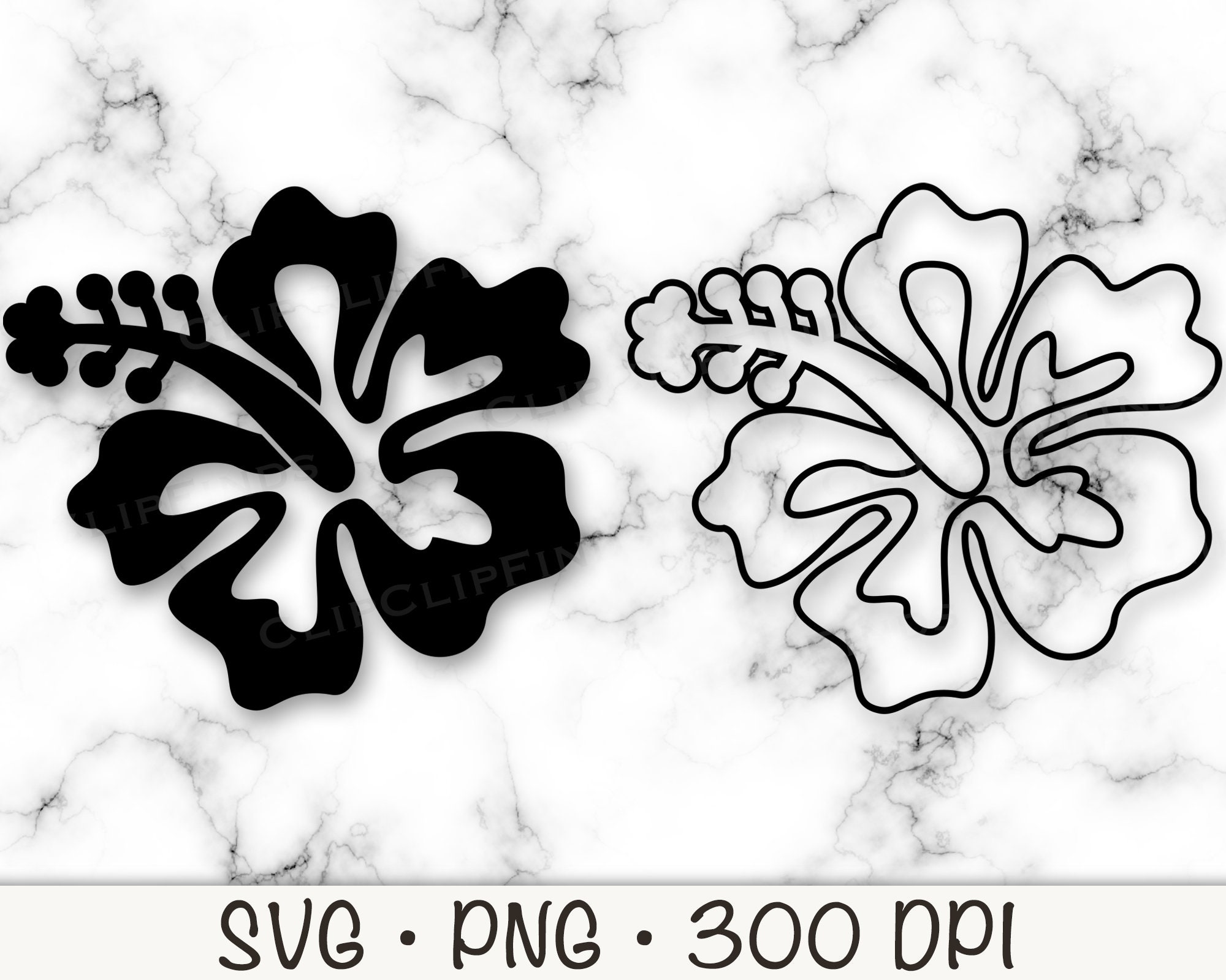 Hibiscus Flower Outline Svg