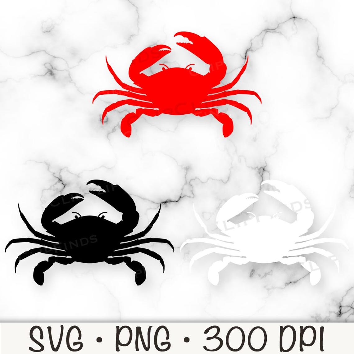 Crab SVG Vector Cut File and PNG Transparent Background, Digital ...