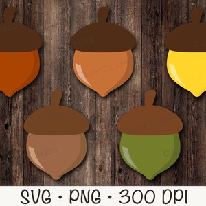 Acorn, Acorn Clip Art, Fall, Acorn Bundle, Assorted Colors, SVG, PNG ...