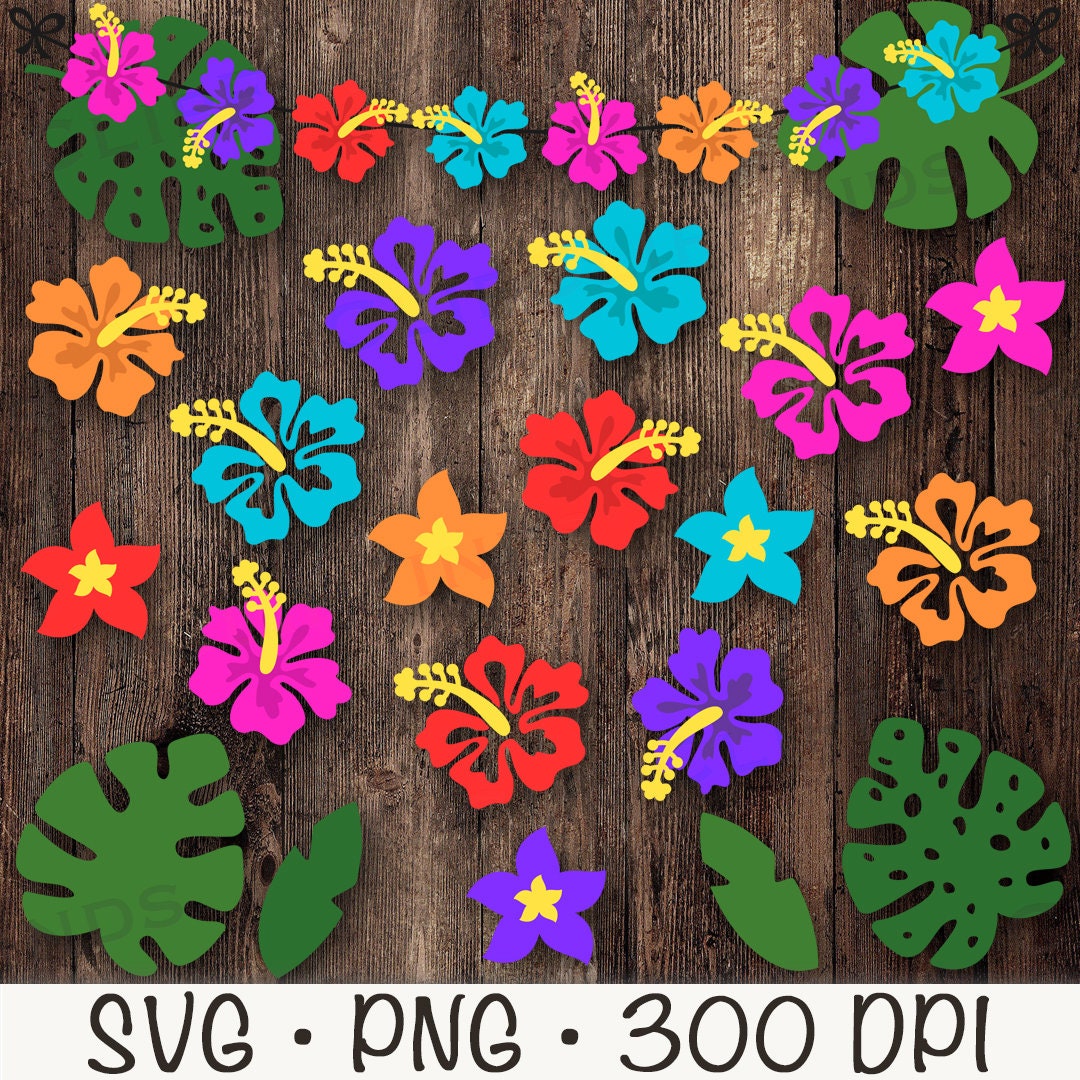 Tropical Flower Clipart: Hibiscus, Plumeria, Monstera Leaf (SVG, PNG ...