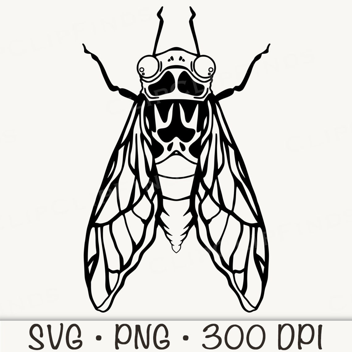 Cicada Outline: Vector SVG, PNG Clip Art (digital Download) - Etsy Canada