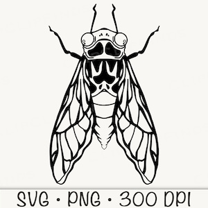 Cicada Outline: Vector SVG, PNG Clip Art (digital Download) - Etsy
