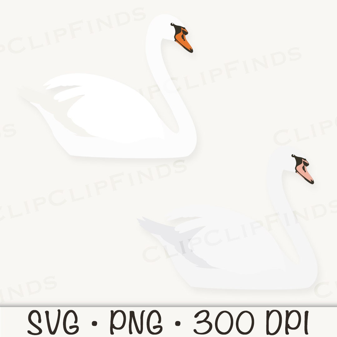 Swan SVG, Swan PNG, Swan Clipart, Digital Download - Etsy