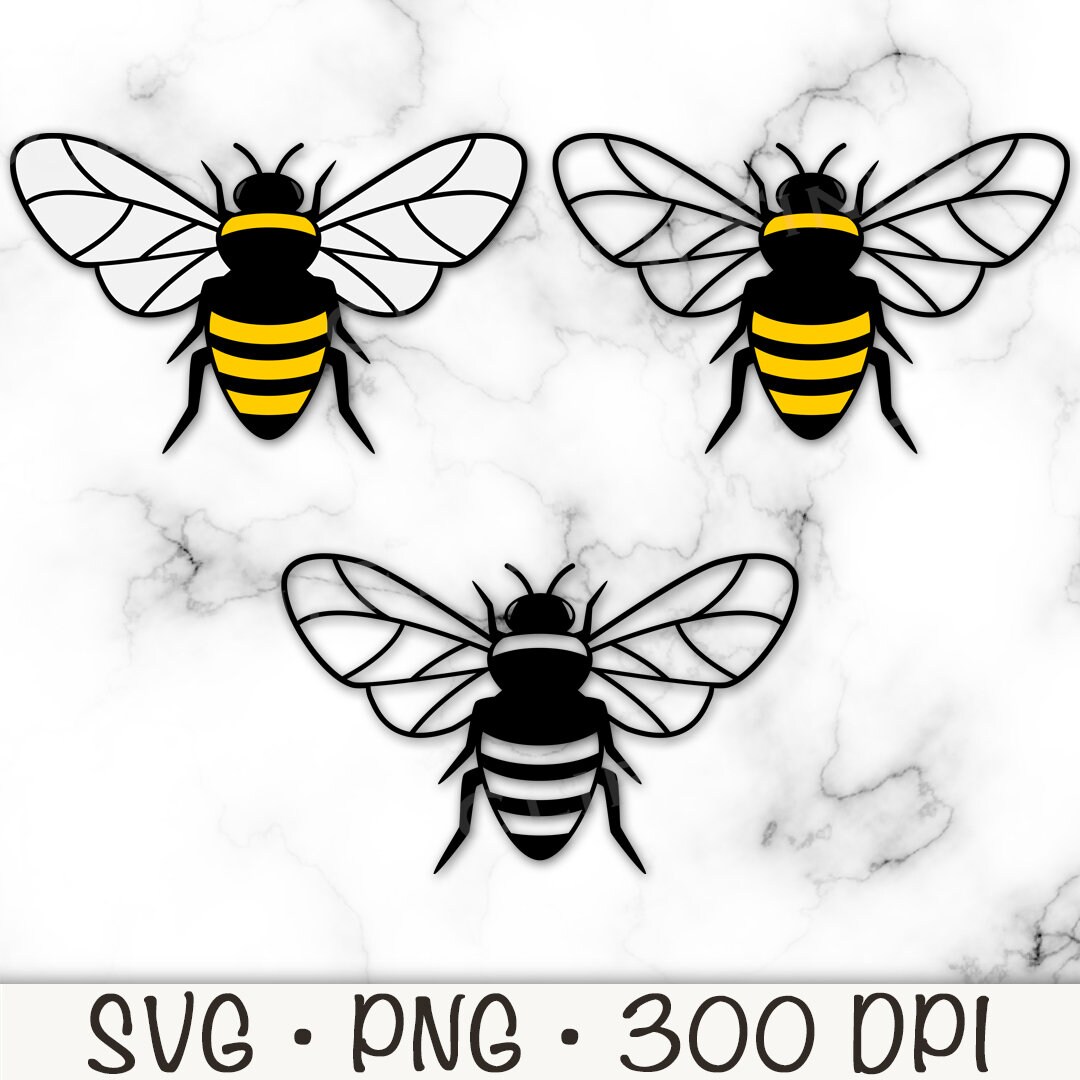Bee SVG, Bee PNG, Bee Clipart, Honey Bee, Bee Bundle Pack, Bee Graphics ...