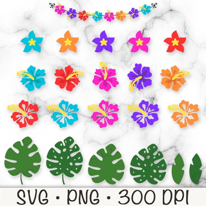 Tropical Flower Clipart: Hibiscus, Plumeria, Monstera Leaf (SVG, PNG ...