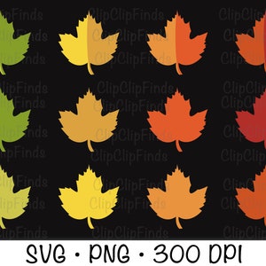 Fall Leaves, Autumn Leaves, Foliage, Thanksgiving, SVG, PNG, Clip Art ...