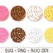 Concha, Pan Dulce, Mexican Sweet Bread SVG Vector Cut File and PNG ...