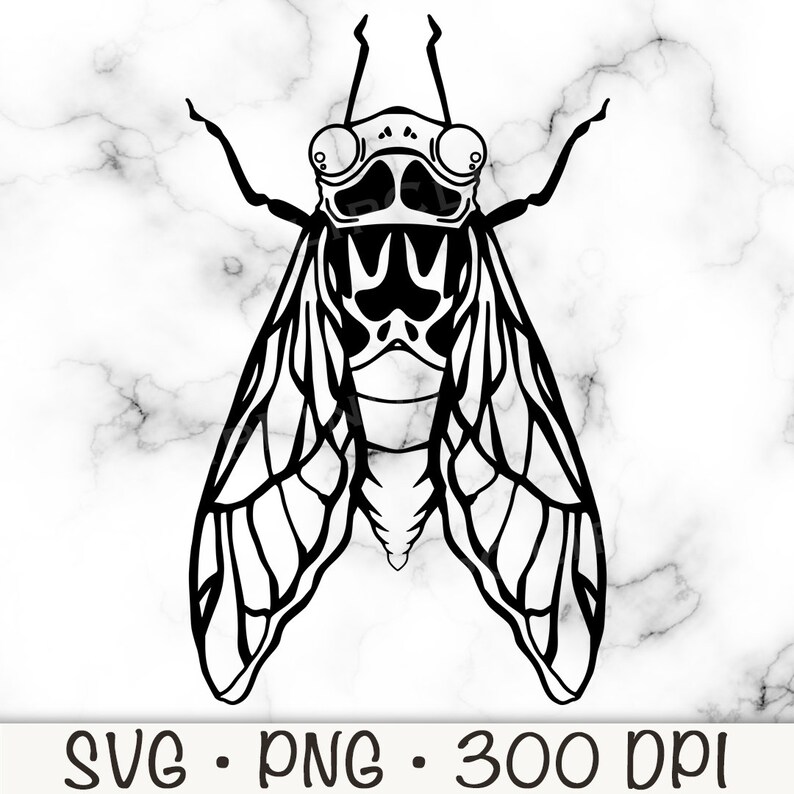 Cicada Outline: Vector SVG, PNG Clip Art (digital Download) - Etsy Canada