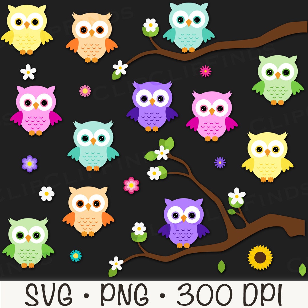 Owl Bundle Pack, Owl SVG, Owl PNG, Owl Clipart, Cute Owl, Daisy Flower ...