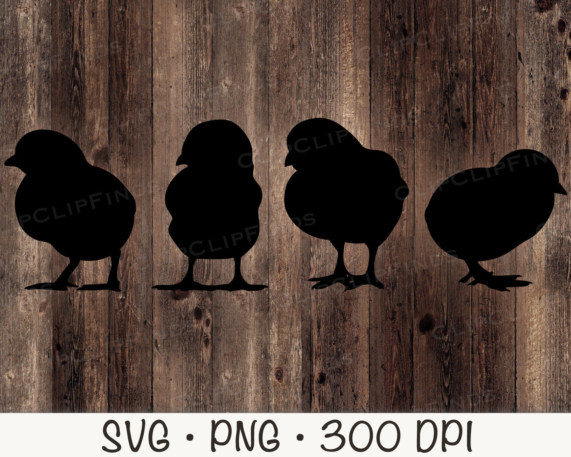 Baby Chick Silhouette SVG Vector Cut File and PNG Transparent - Etsy