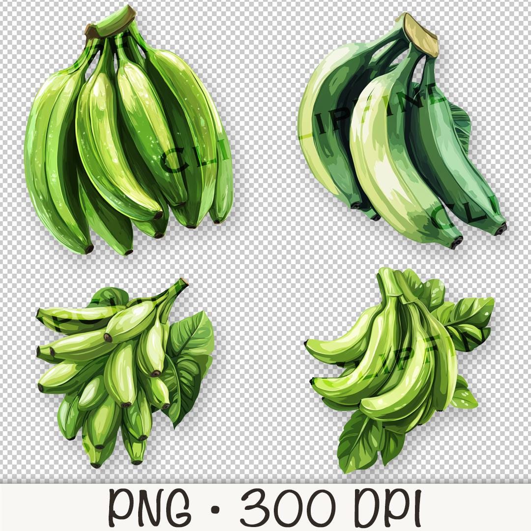 Green Bananas PNG, Green Bananas Clipart, Bunch of Green Bananas ...