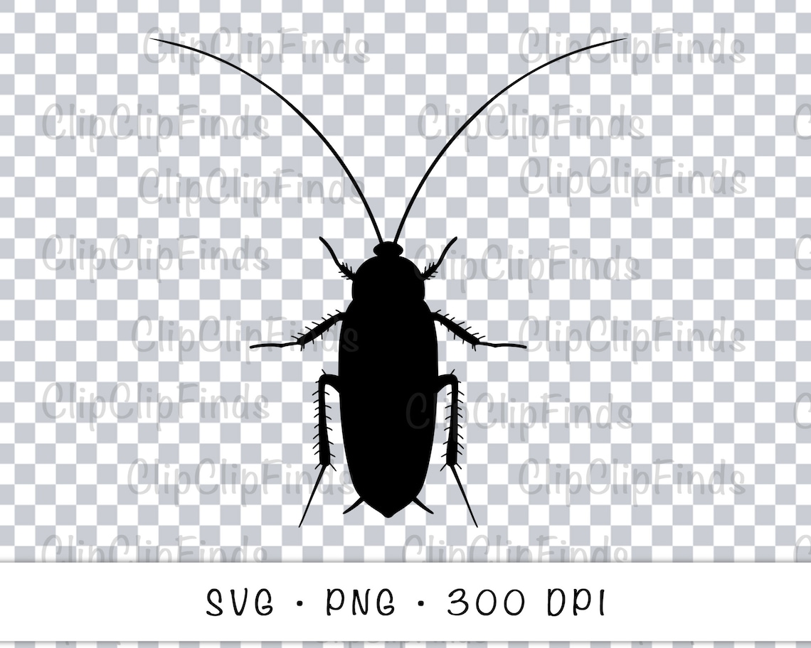 Roach Cockroach Silhouette SVG Vector Cut File and PNG | Etsy